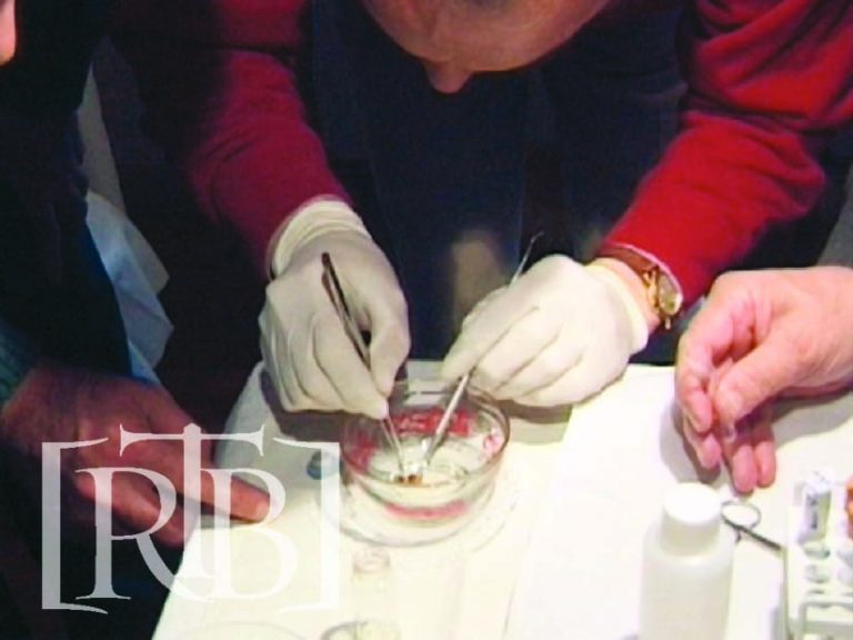 Eucharistic Miracle - Reason To Believe